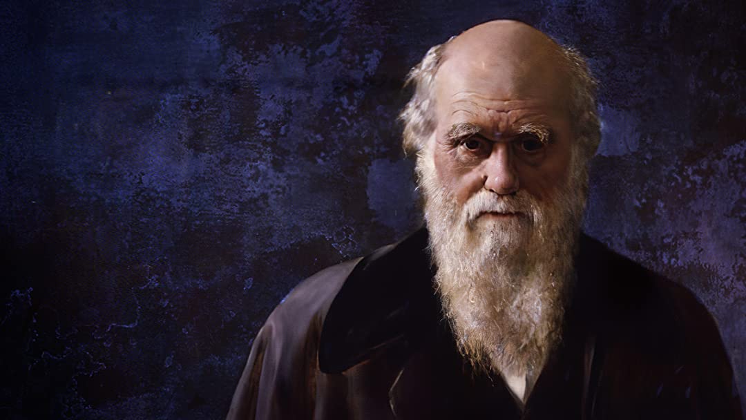 O Segredo de Darwin: A Experiência do Rapto das Crianças | Extra