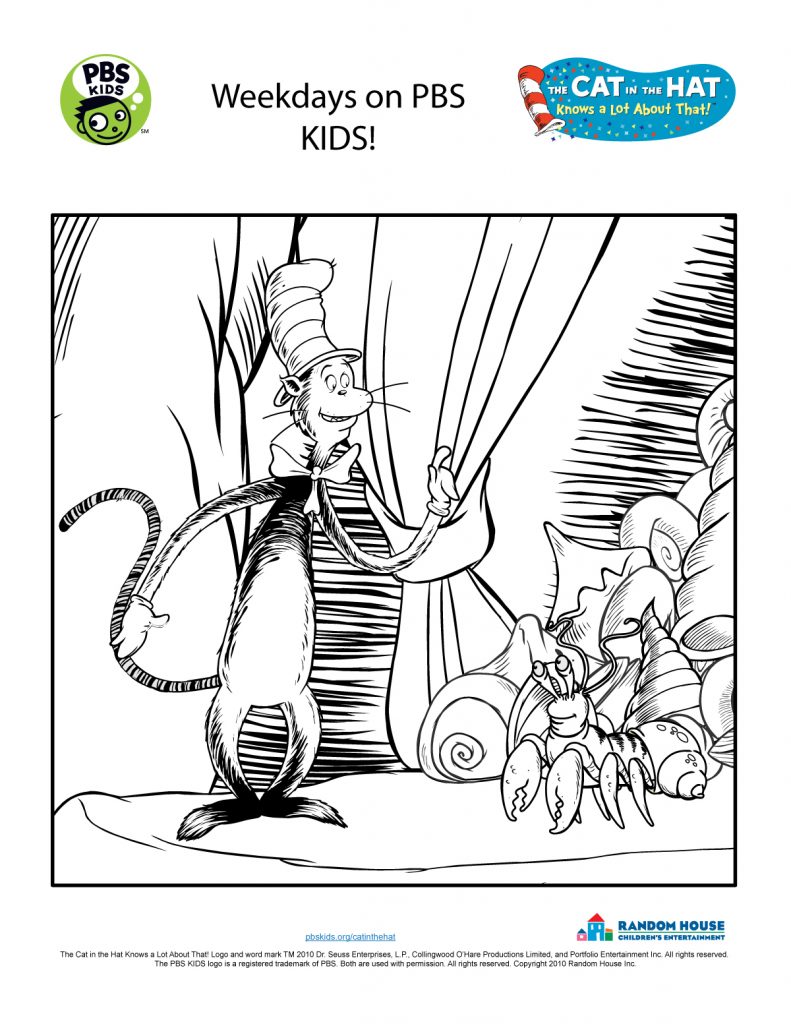 Pinta com o Gato da Cartola | Zig Zag | RTP